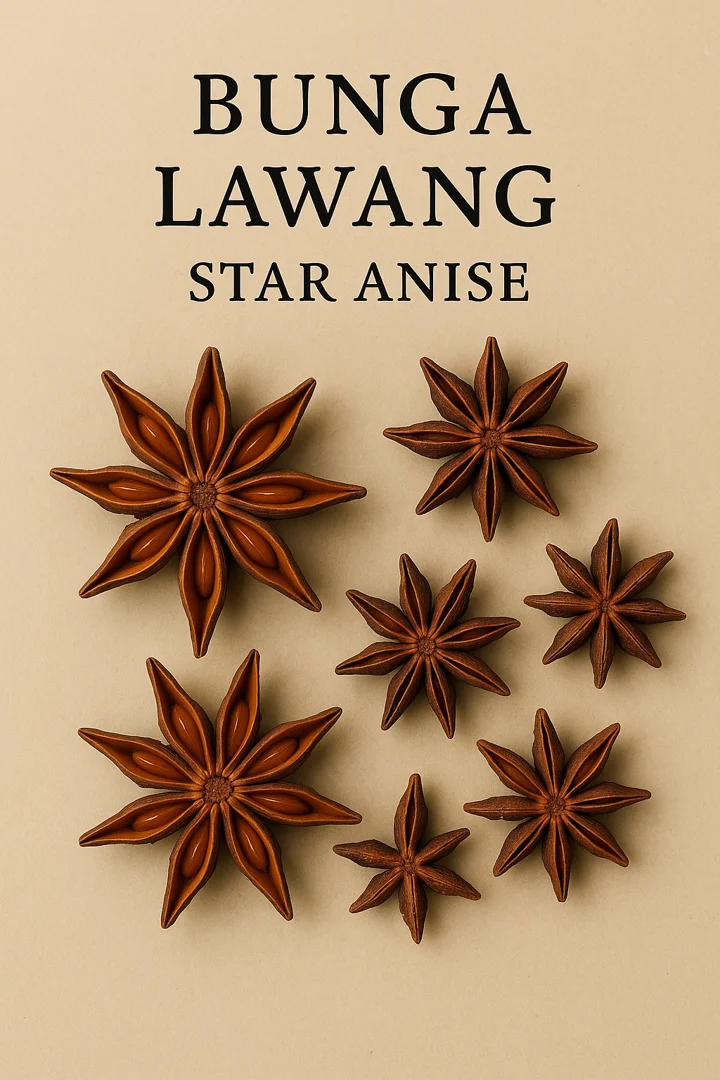 Bunga Lawang (Star Anise) - The Star That Brings Sweet Warmth to ...